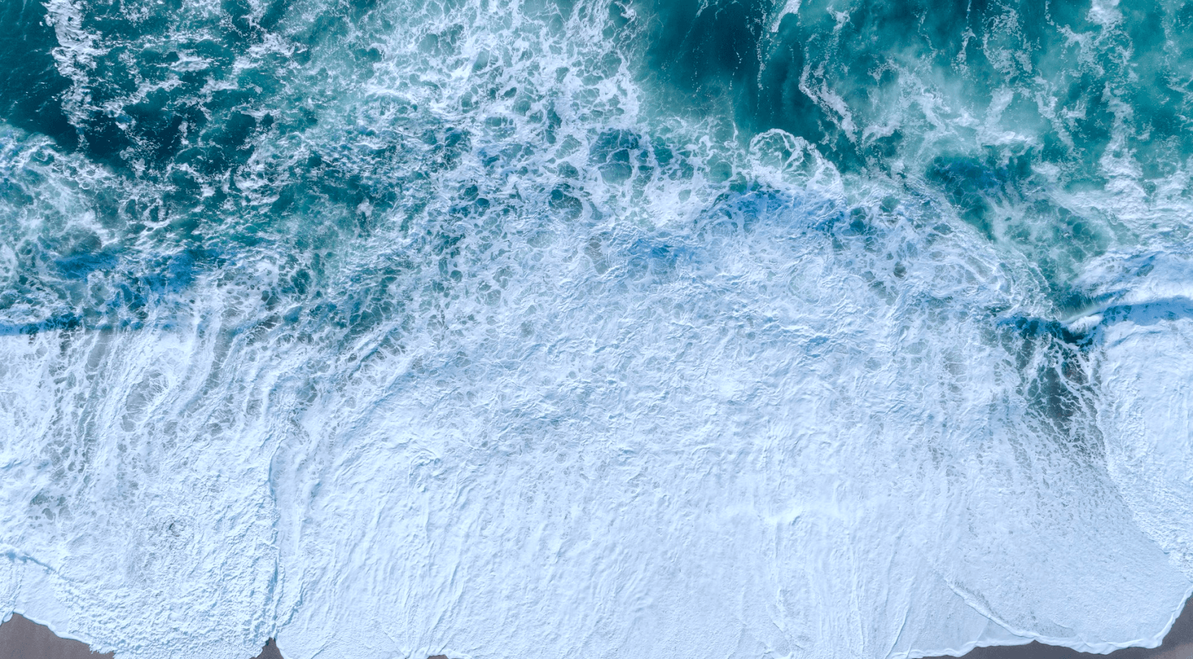 Ocean One Securities – Your Trusted Trading Partner